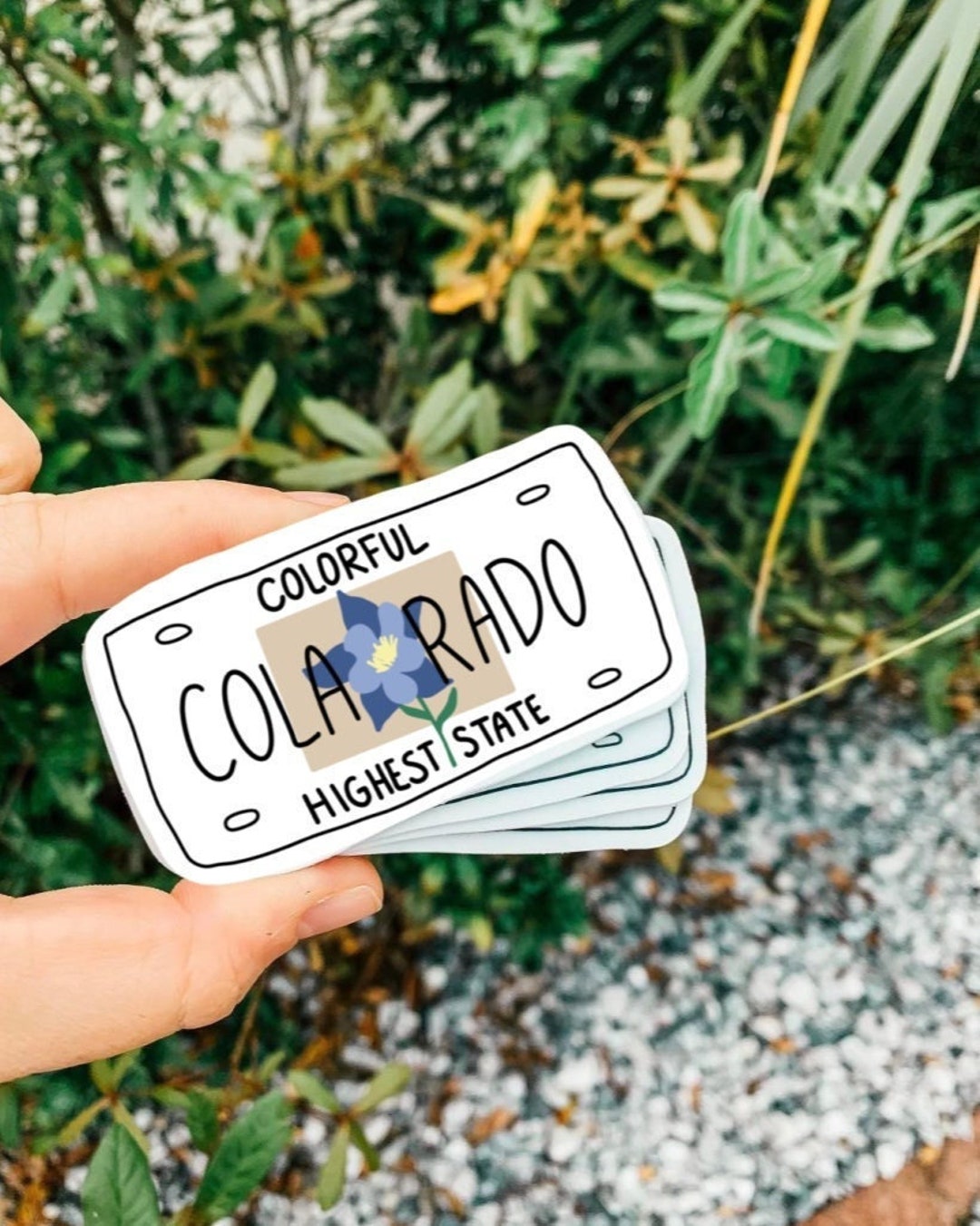 Colorado Sticker, Colorado License Plate Sticker, Colorado State ...