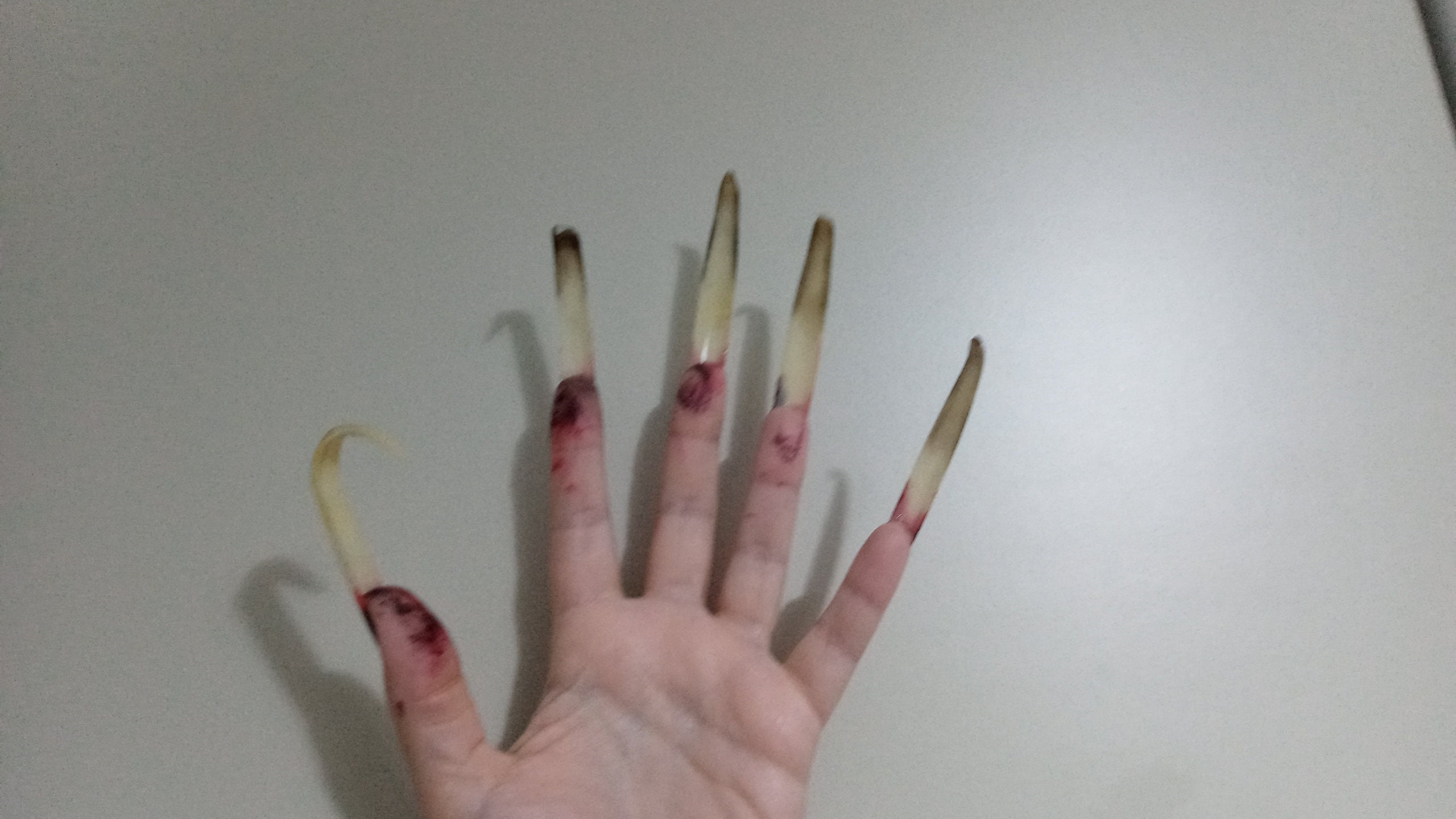 Horror Fake Nails Monster Witch Werewolf Zombie Halloween | Etsy