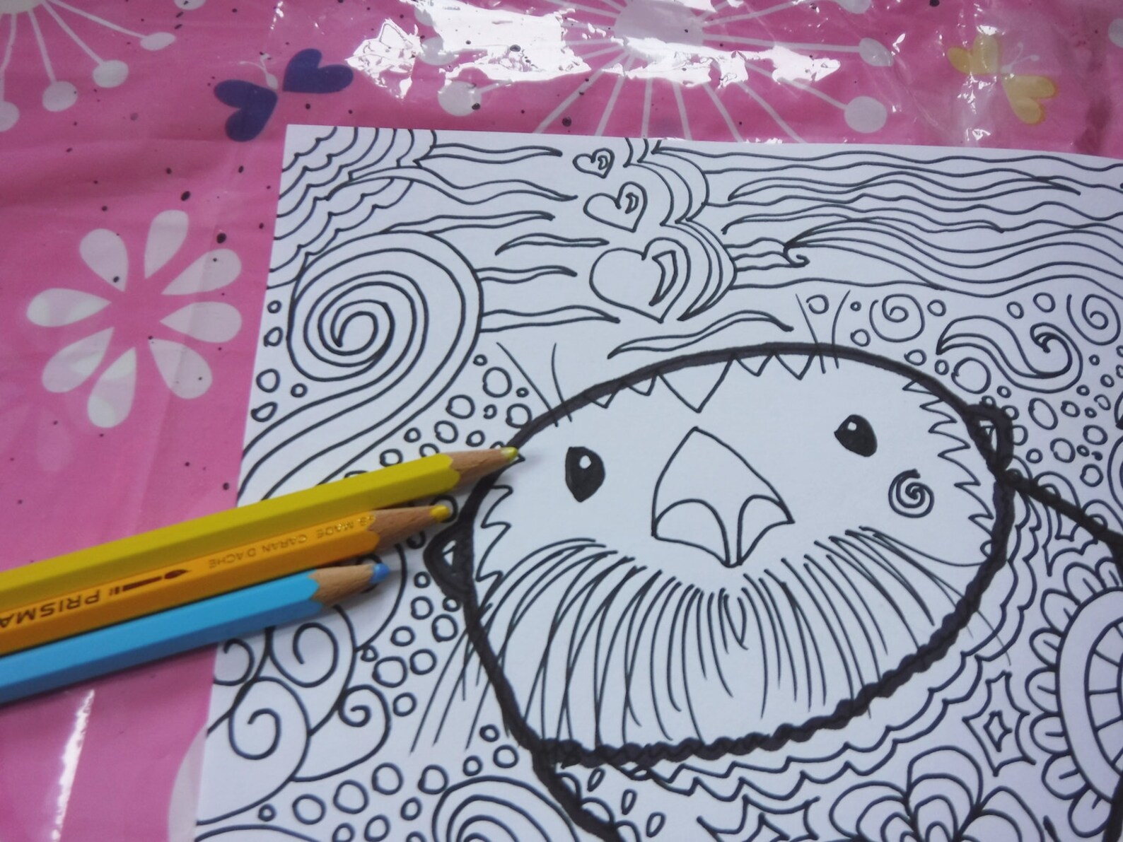 Lontra carina da colorare da stampare bambini e adulti - Etsy Italia