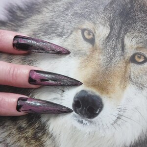 Horror Make up Werewolf Claws Witch Zombie Halloween Wolf - Etsy