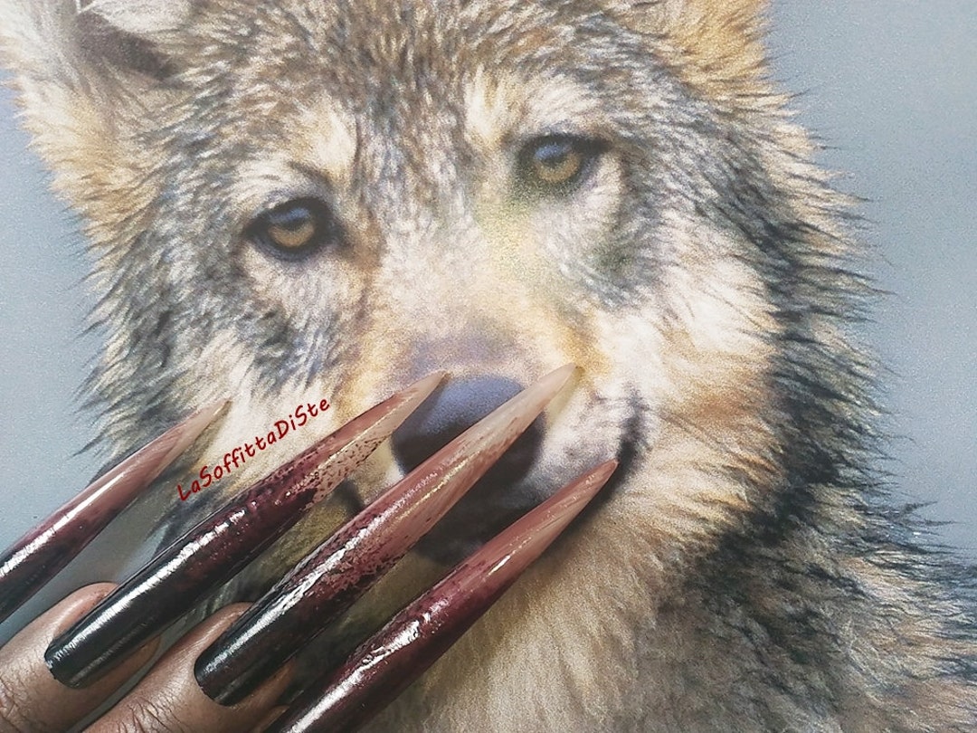 Werewolf Nails Halloween Costume Witch Zombie Wolf Talons - Etsy