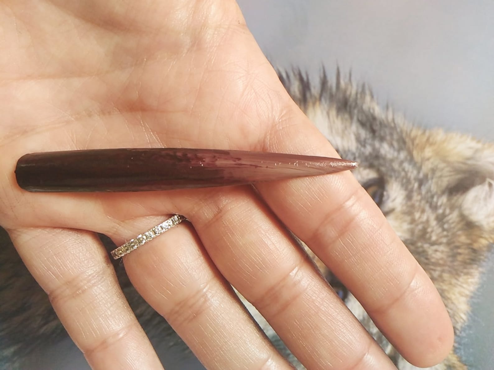 Werewolf Nails Halloween Costume Witch Zombie Wolf Talons - Etsy