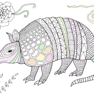 Armadillo Coloring Adults Printable Colouring Kids Totem Animal ...