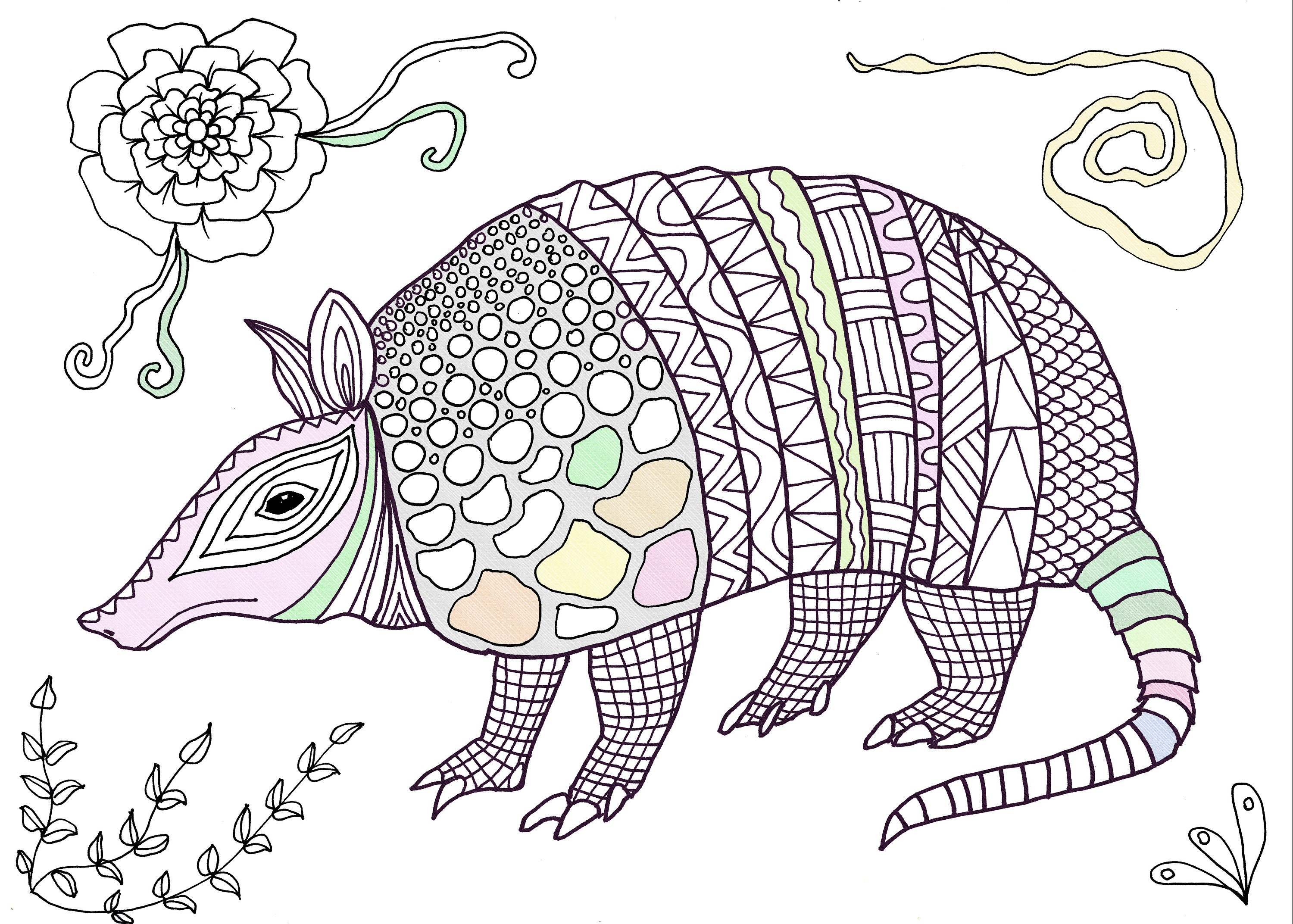 Armadillo Coloring Page