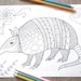 Armadillo Coloring Adults Printable Colouring Kids Totem Animal ...