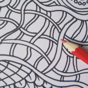 Printable Arizona Doodle Colouring Map Kids Adult Coloring DOWNLOAD ...