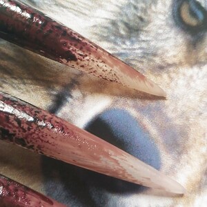 Werewolf Nails Halloween Costume Witch Zombie Wolf Talons - Etsy