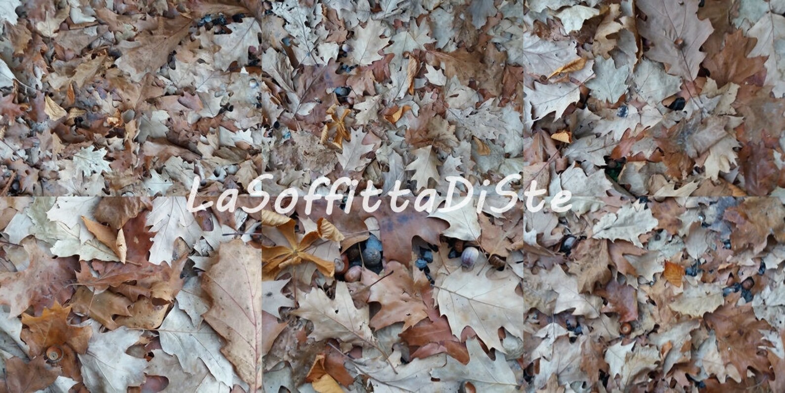 Digital Paper Leaves Backdrop Fall Autumn Oak Tree - Etsy