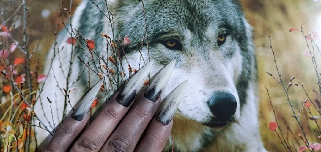 Long Werewolf Pointy Nails Witch Zombie Halloween Wolf - Etsy