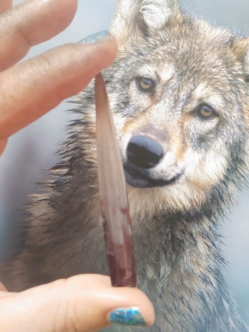 Werewolf Nails Halloween Costume Witch Zombie Wolf Talons | Etsy