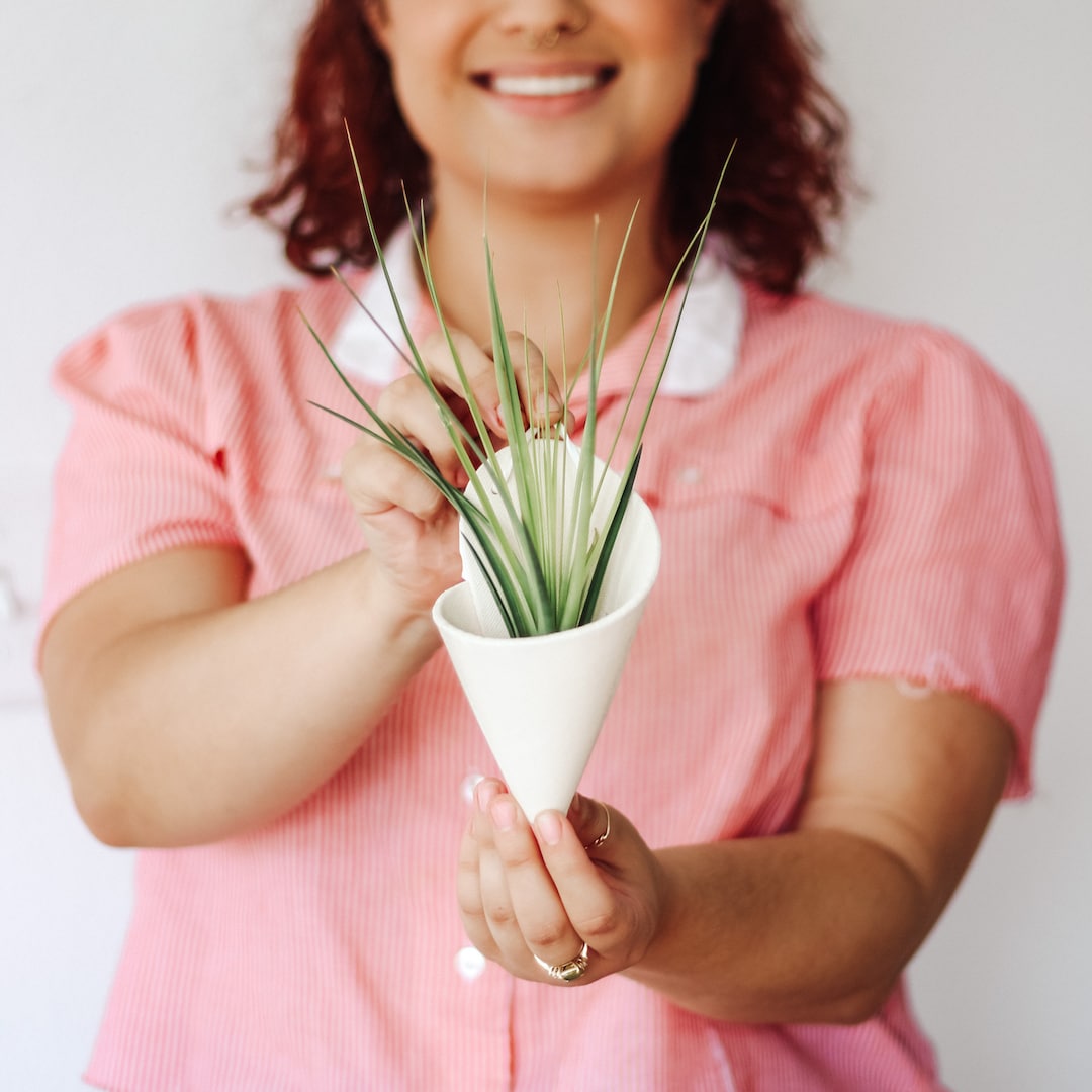 Ceramic Wall Planter, Medium Cone by Carter Rose - Etsy