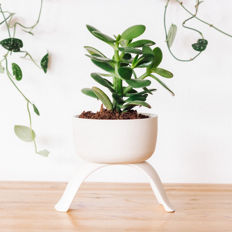 High Rise Shallow Planter by Carter Rose - Etsy