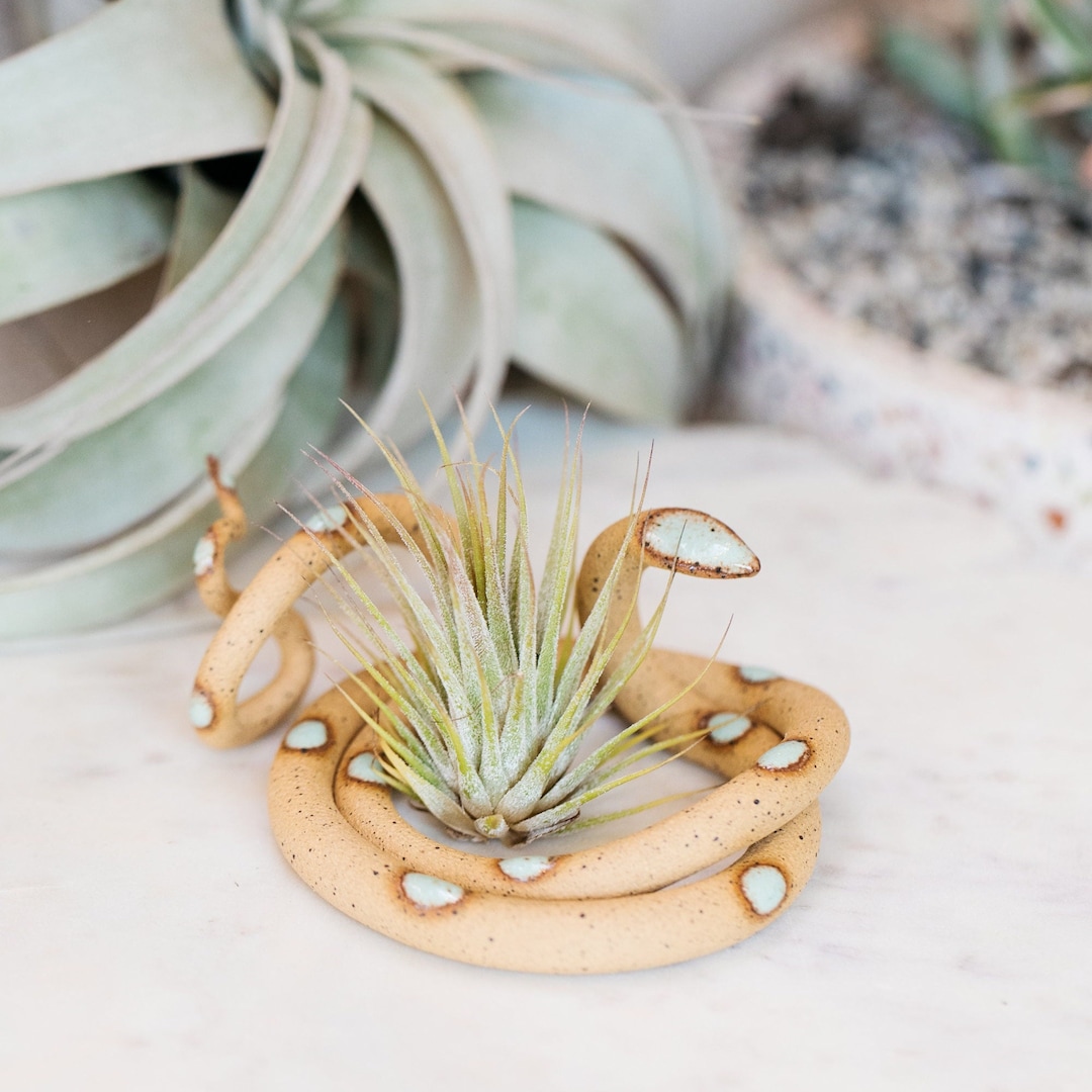 Ceramic Snake, Medium by Carter + Rose - Etsy