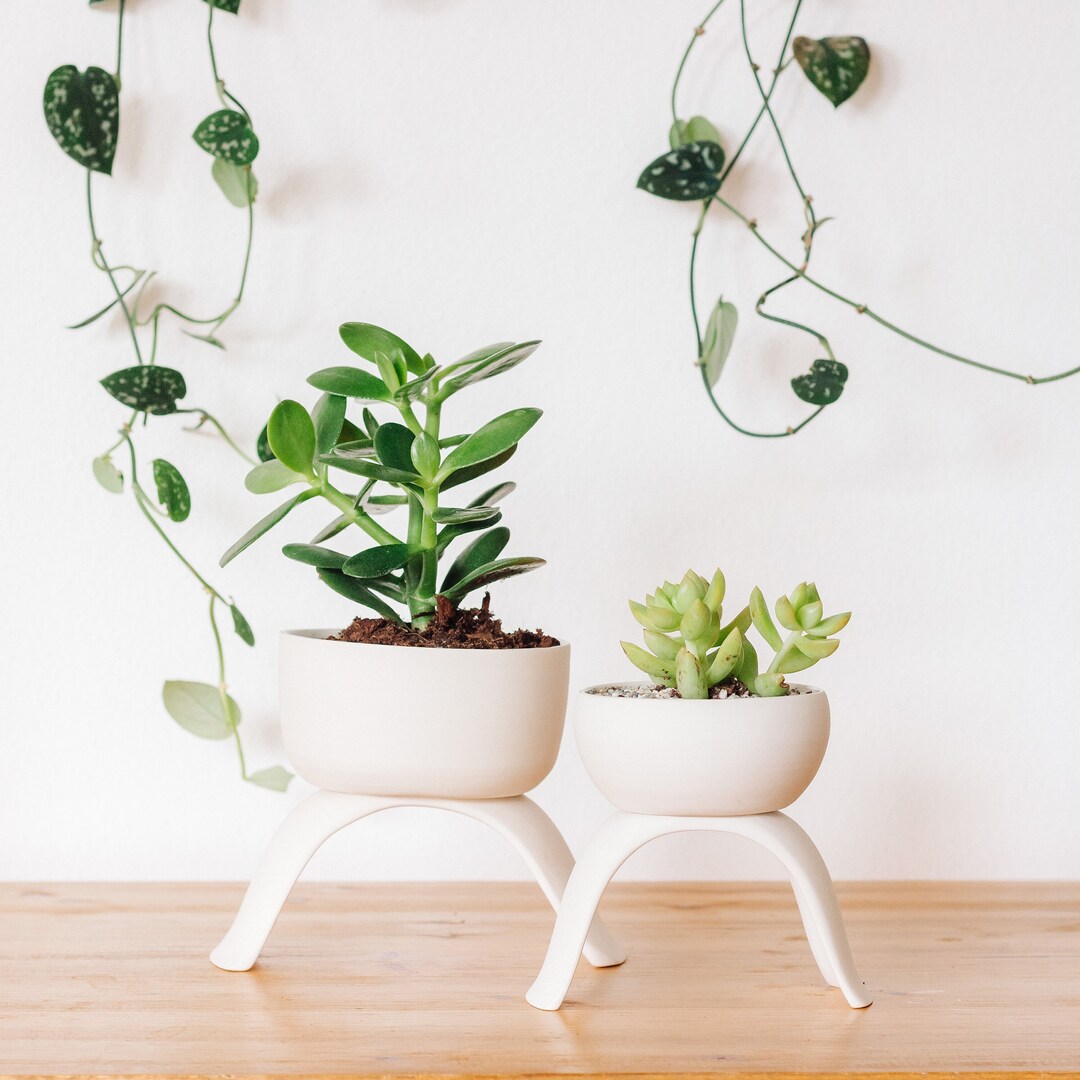High Rise Shallow Planter by Carter + Rose - Etsy