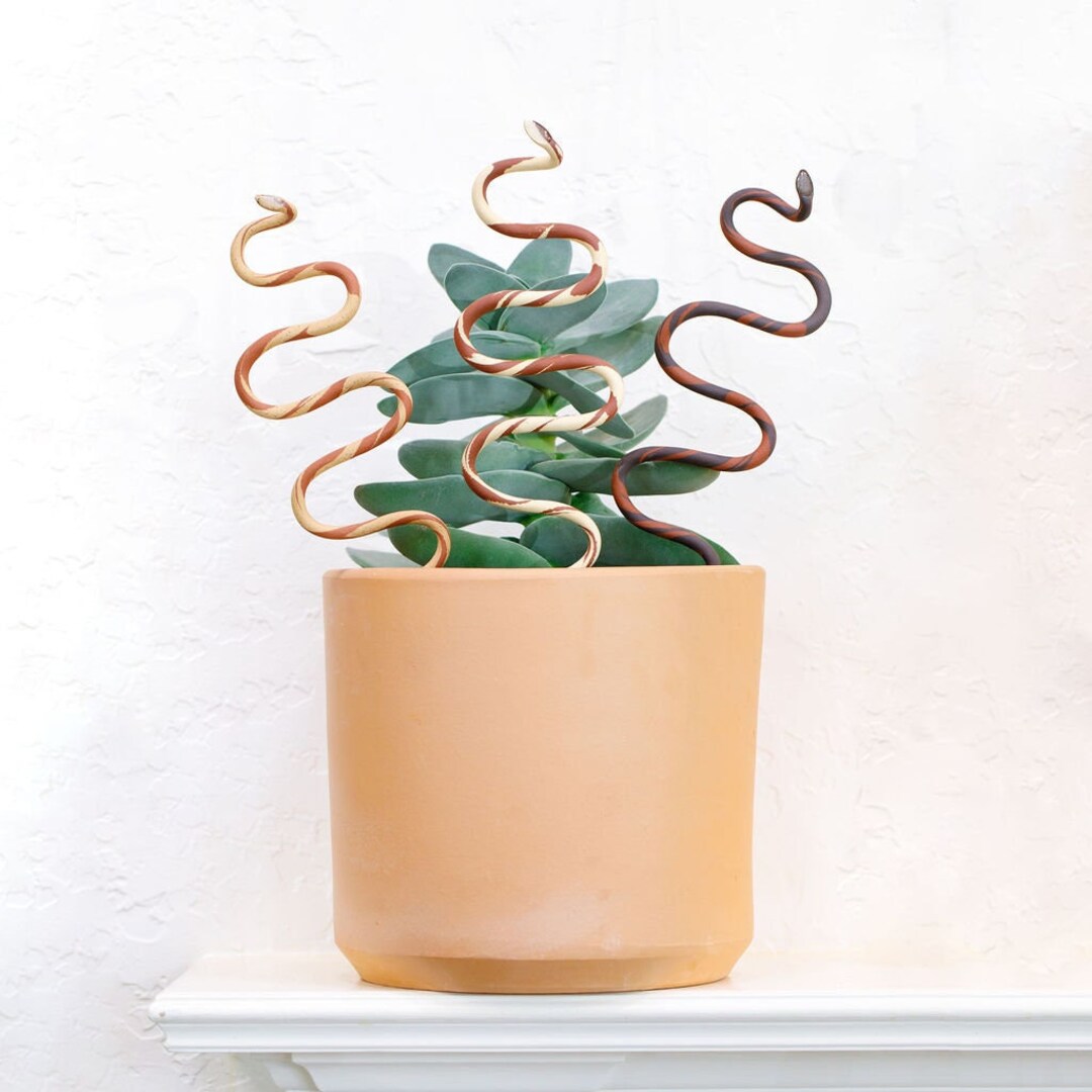 Plant Snake Stake by Carter + Rose - Etsy