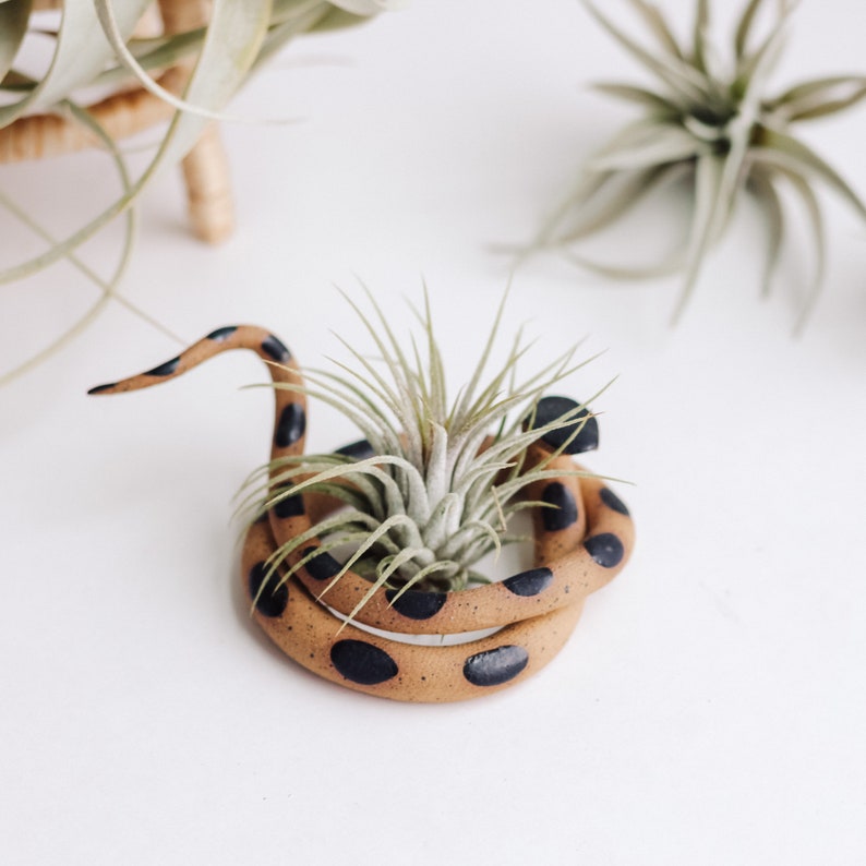 Ceramic Snake Medium by Carter Rose - Etsy