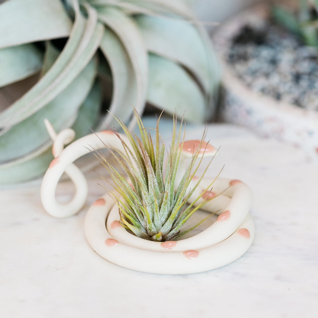 Ceramic Snake, Medium by Carter + Rose - Etsy
