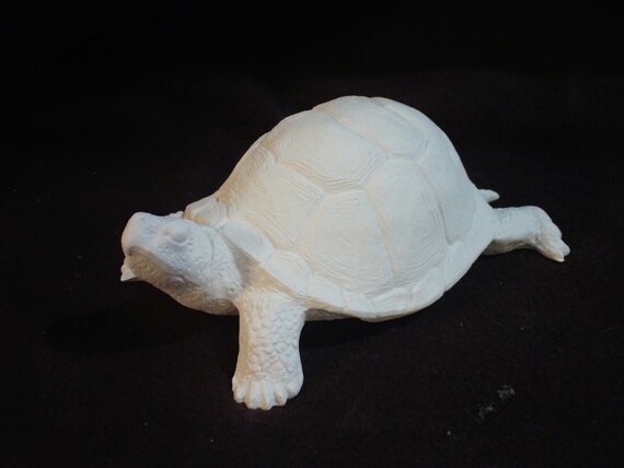 Ceramic Bisque 6 Long Box Turtle Ready to Paint C727 | Etsy