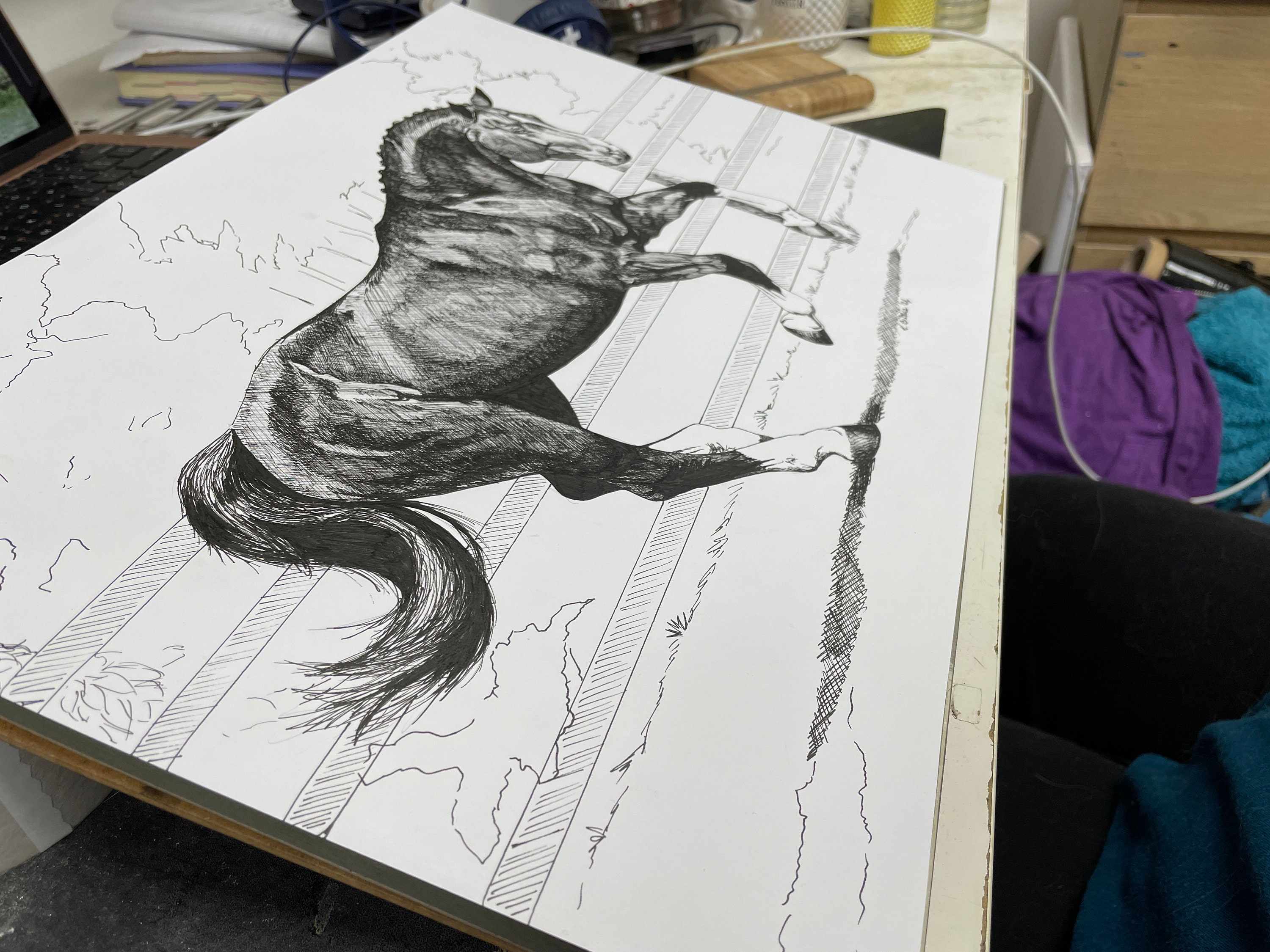 COA Original Art Drawing Vintage Galloping Horse Equestrian Pet Animal ...