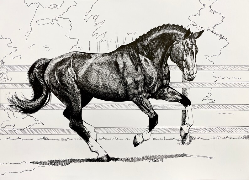 COA Original Art Drawing Vintage Galloping Horse Equestrian Pet Animal ...
