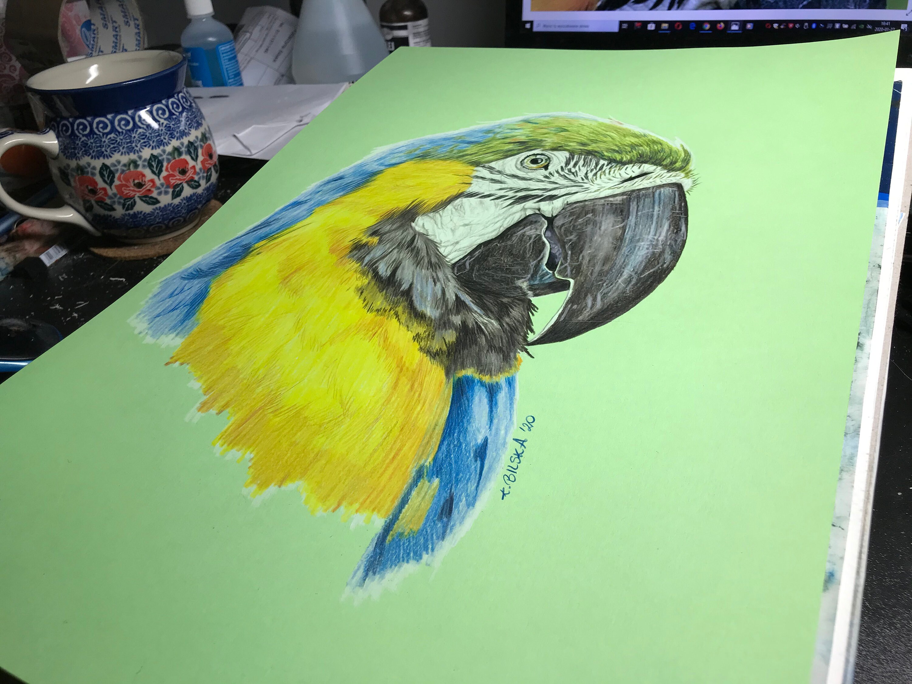 PARROT Papuga Bird Blue Green Realism Animal A3 Original Drawing on ...