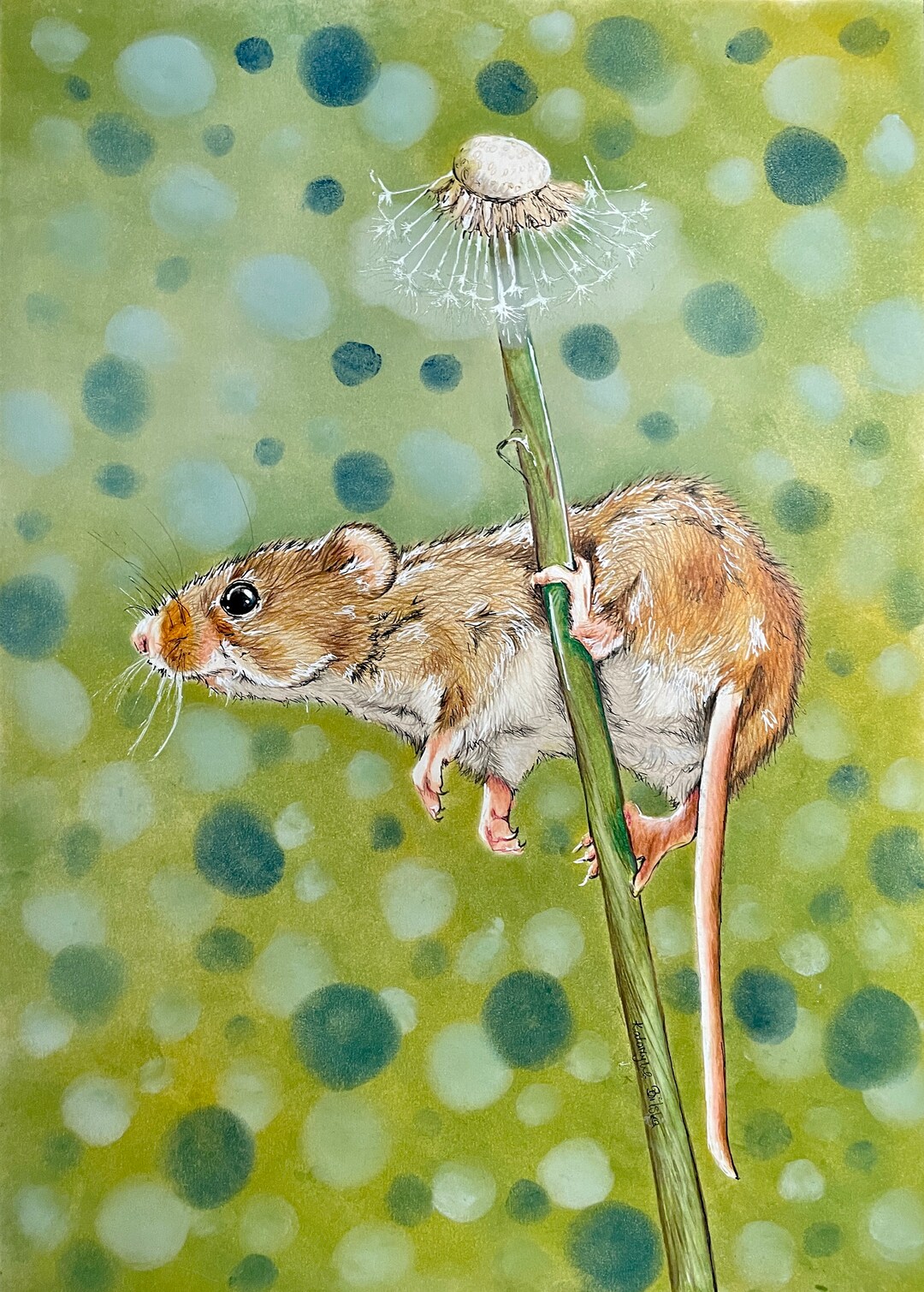 Mouse on Field Animal Realism A3 Pencil Drawing on Paper by Artkaska ...