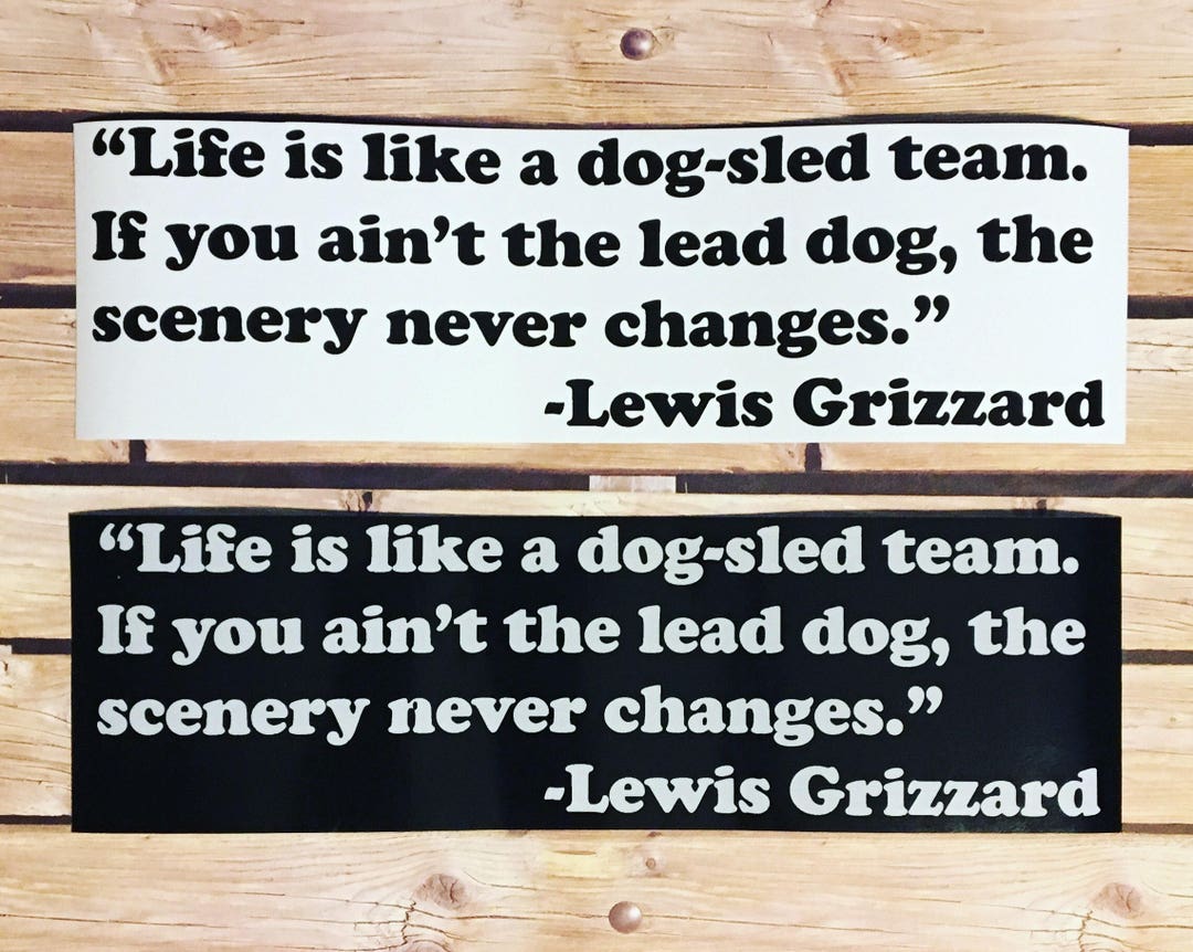 Life is Like a Dog-sled Team. If You Ain't the Lead Dog, the Scenery ...