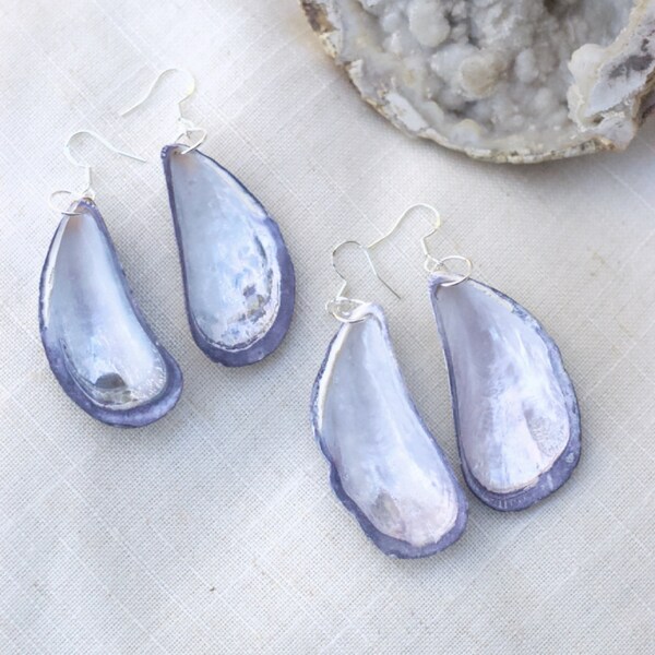Mussel Shells - Etsy
