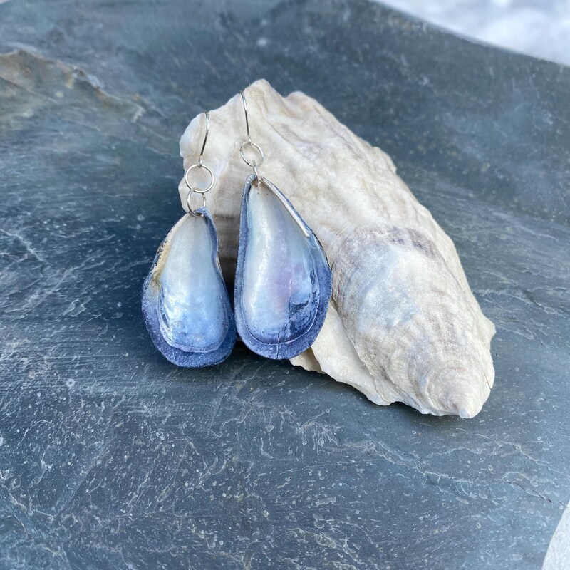 Mussel Shells - Etsy
