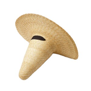 Elegant Pointed Potted Straw Hat Wizard Hat Wizard Hat - Etsy Canada