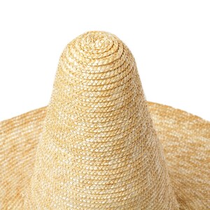 Elegant Pointed Potted Straw Hat Wizard Hat Wizard Hat - Etsy Canada