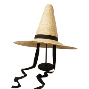 Elegant Pointed Potted Straw Hat Wizard Hat Wizard Hat - Etsy Canada