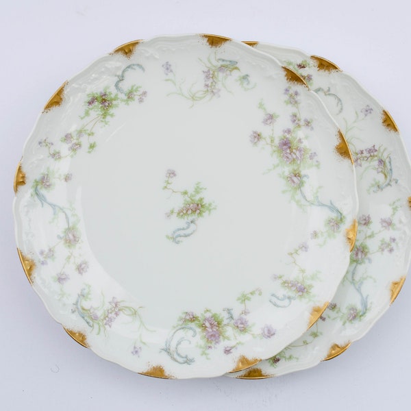 Limoges Haviland China Patterns. Antique - Etsy