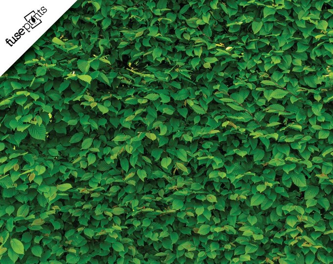 BUSHY LEAF Wall Vinyl Backdrop Photography Vinyl Backdrop Bush Backdrop ...