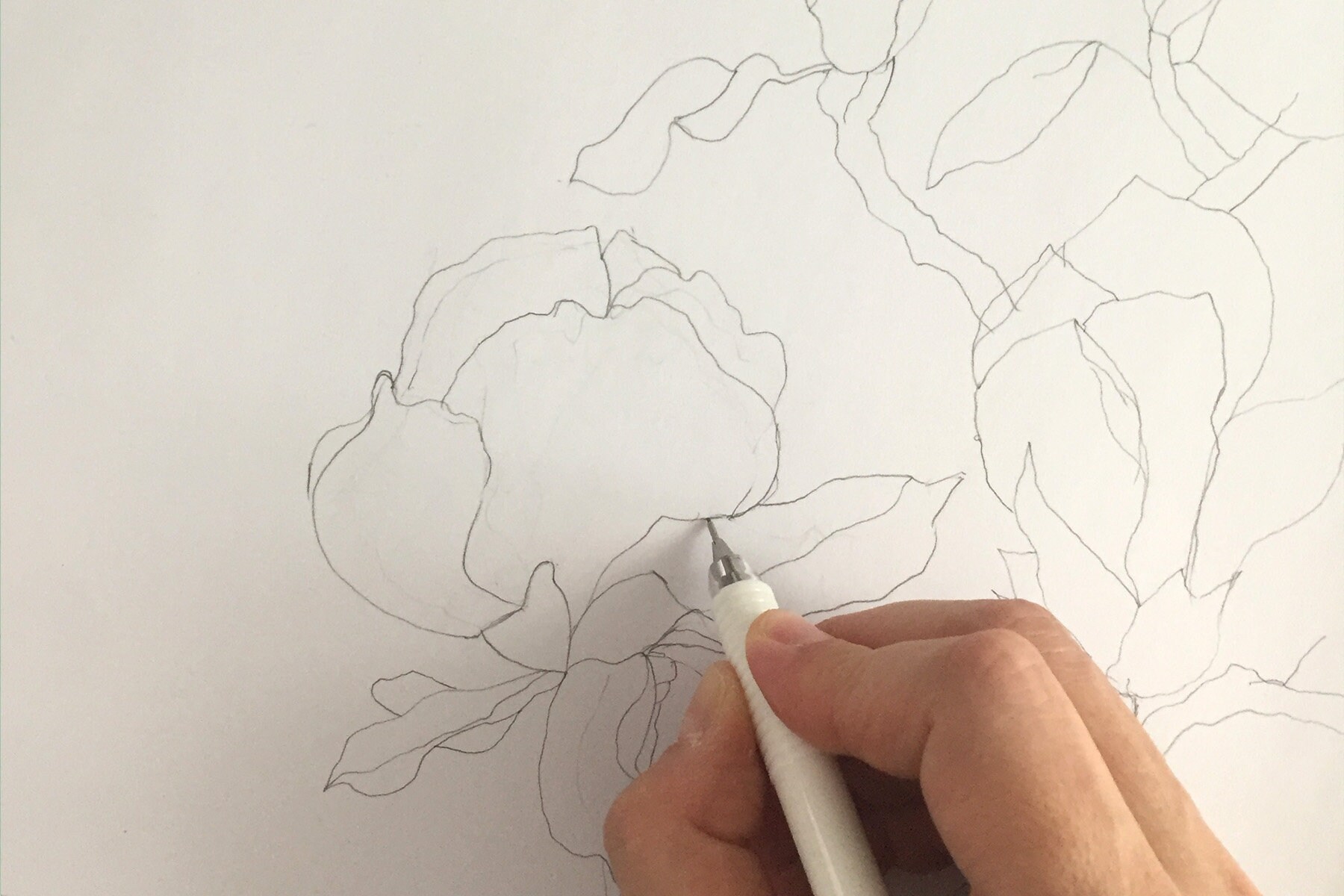 Botanical Desktop Wallpaper for Computer, Mac Wallpaper, Imac, iPhone ...