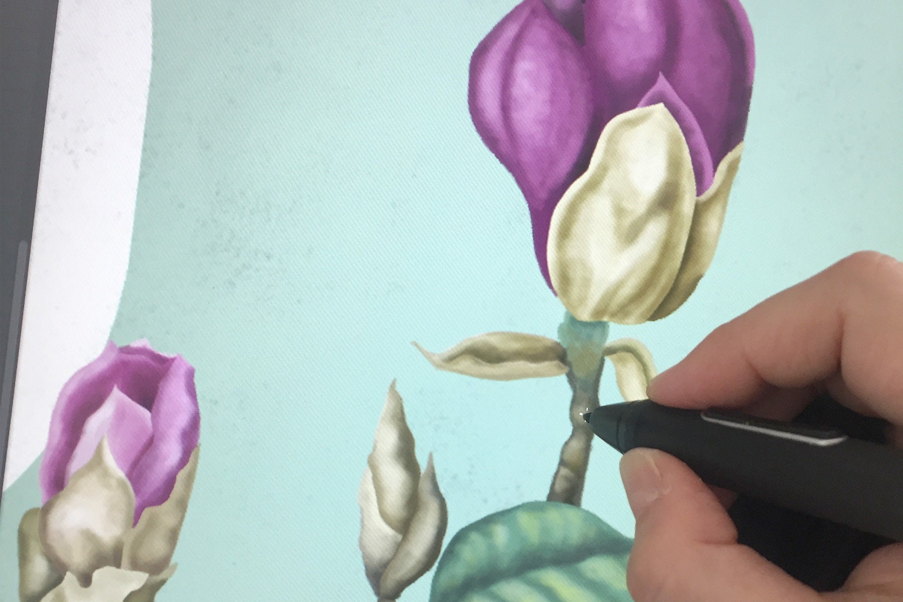 Botanical Desktop Wallpaper for Computer, Mac Wallpaper, Imac, iPhone ...