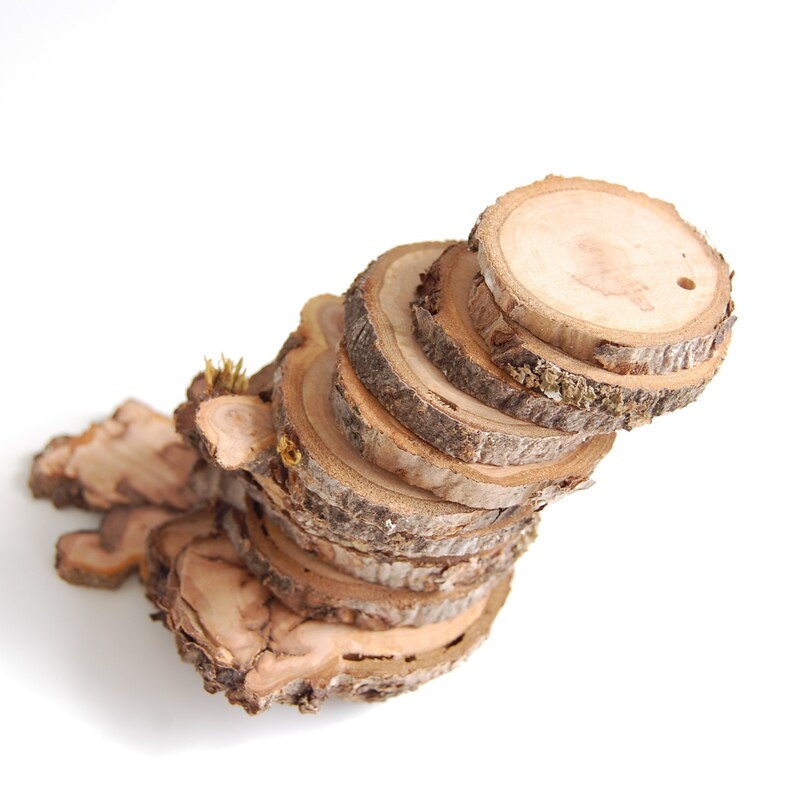 Tree Branch Slices - Etsy