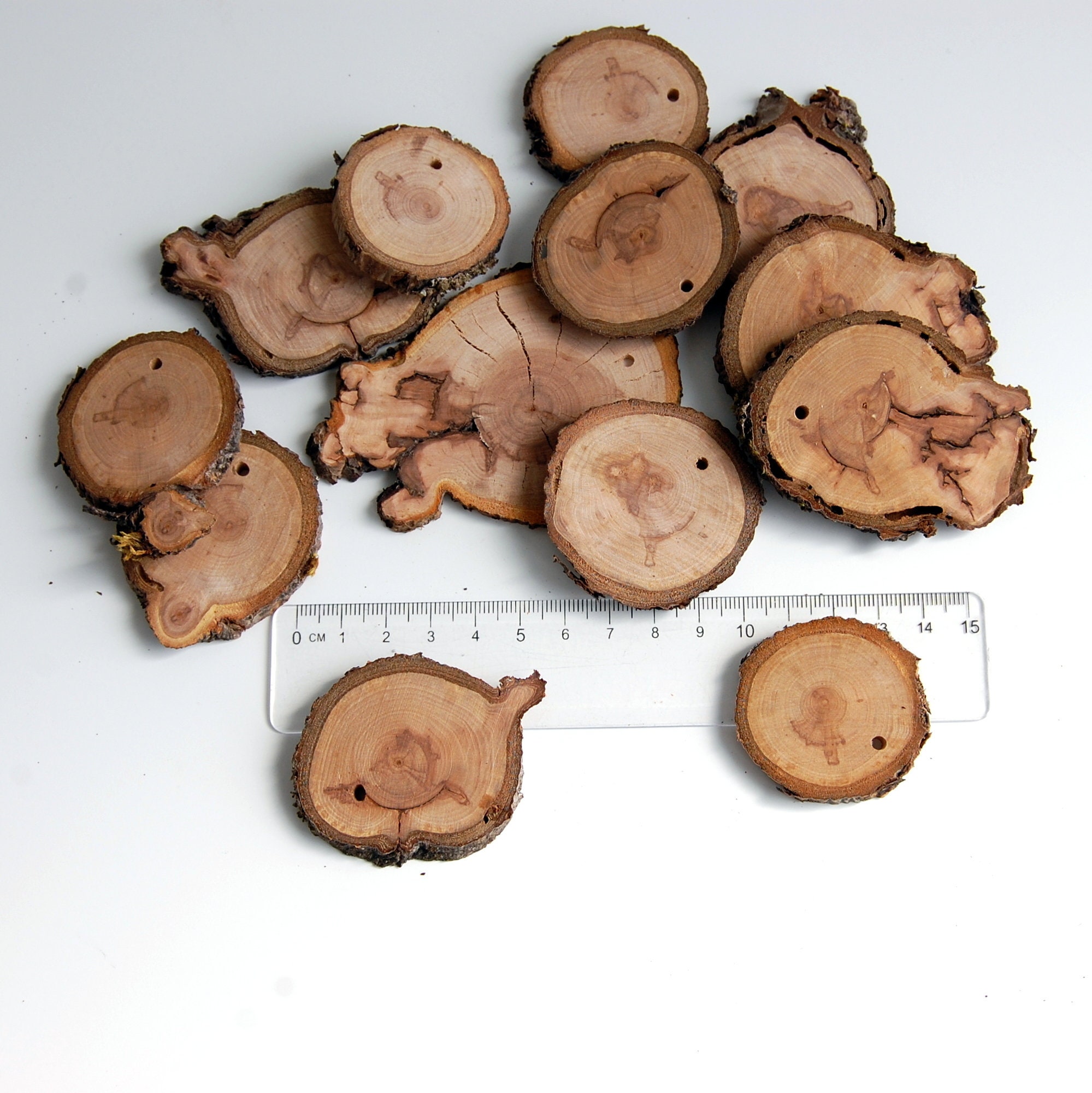 Different Tree Branch Slices Easter Tree Decorations Wood - Etsy