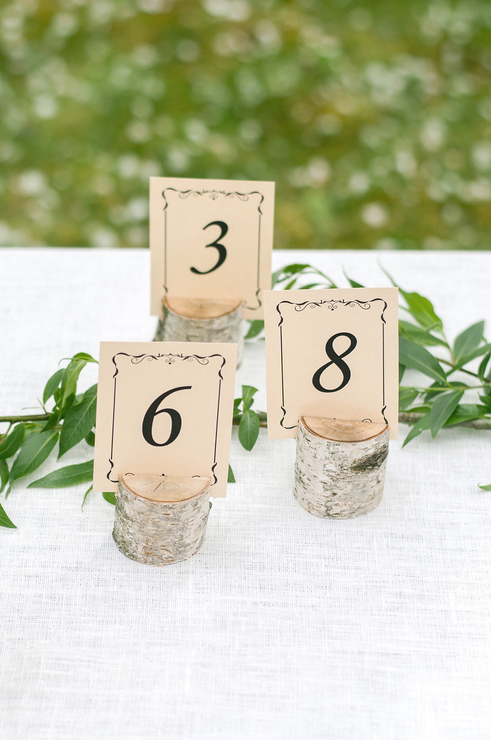 20pcs Rustic Name Card Holders Birch Branch Place Card - Etsy