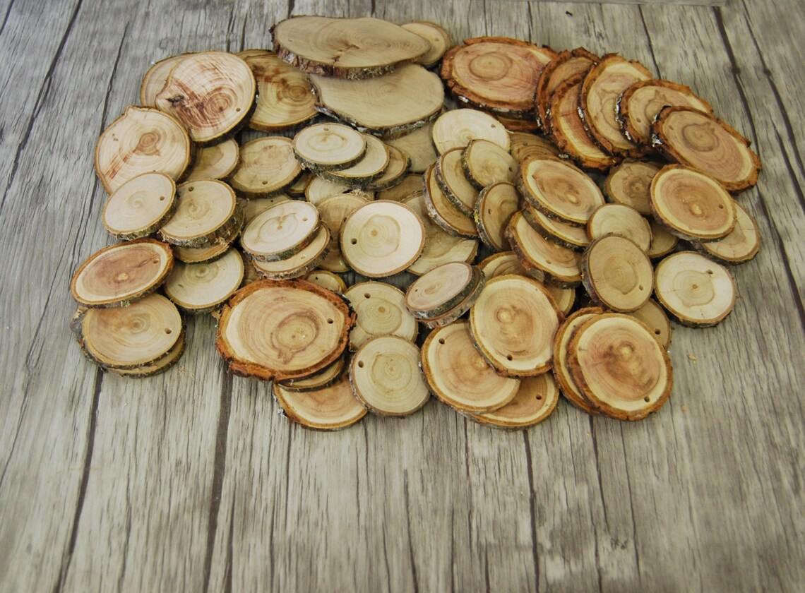 Tree Branch Slices 100 Pcs Different Wood Slices DIY | Etsy