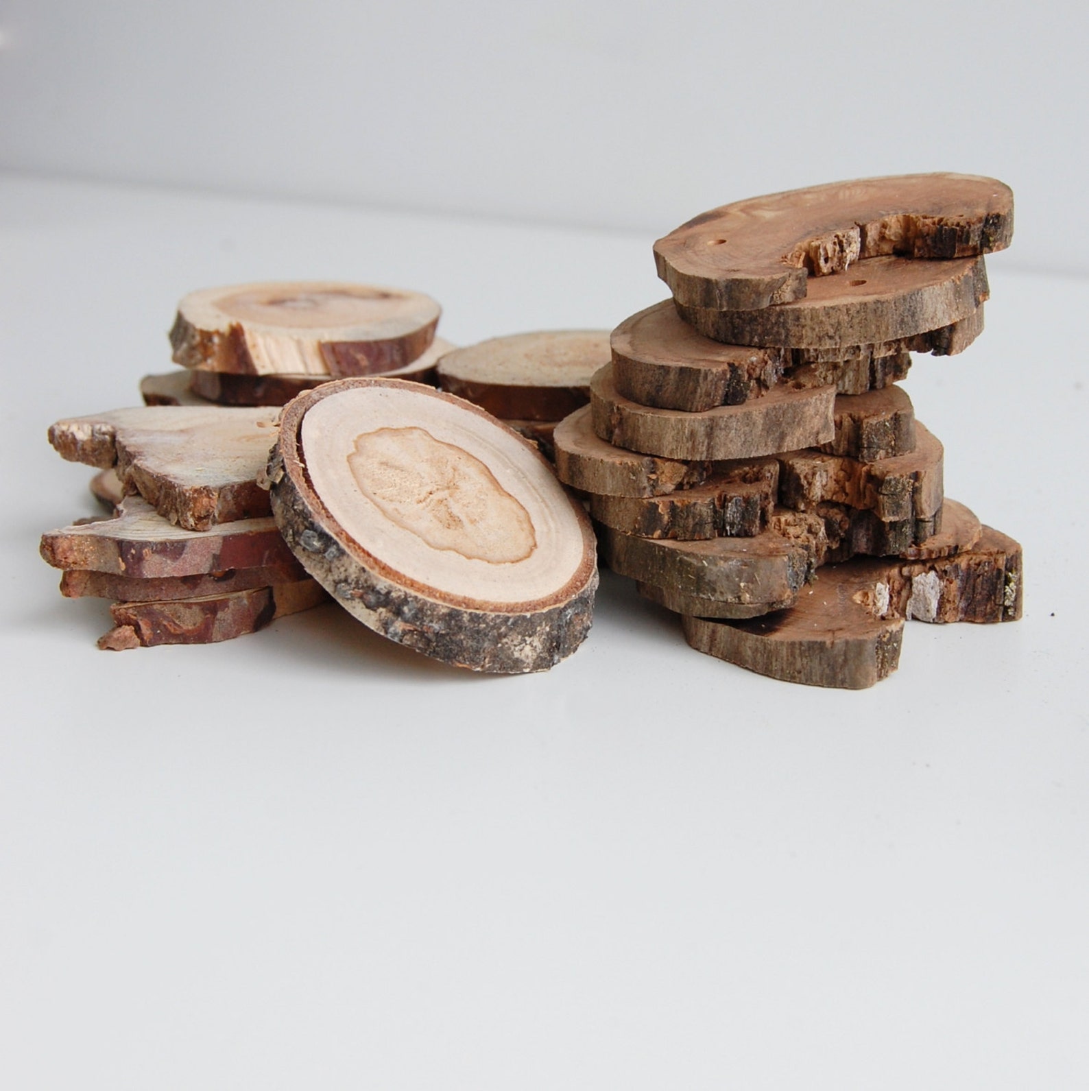 Different Tree Branch Slices Easter Tree Decorations Wood | Etsy