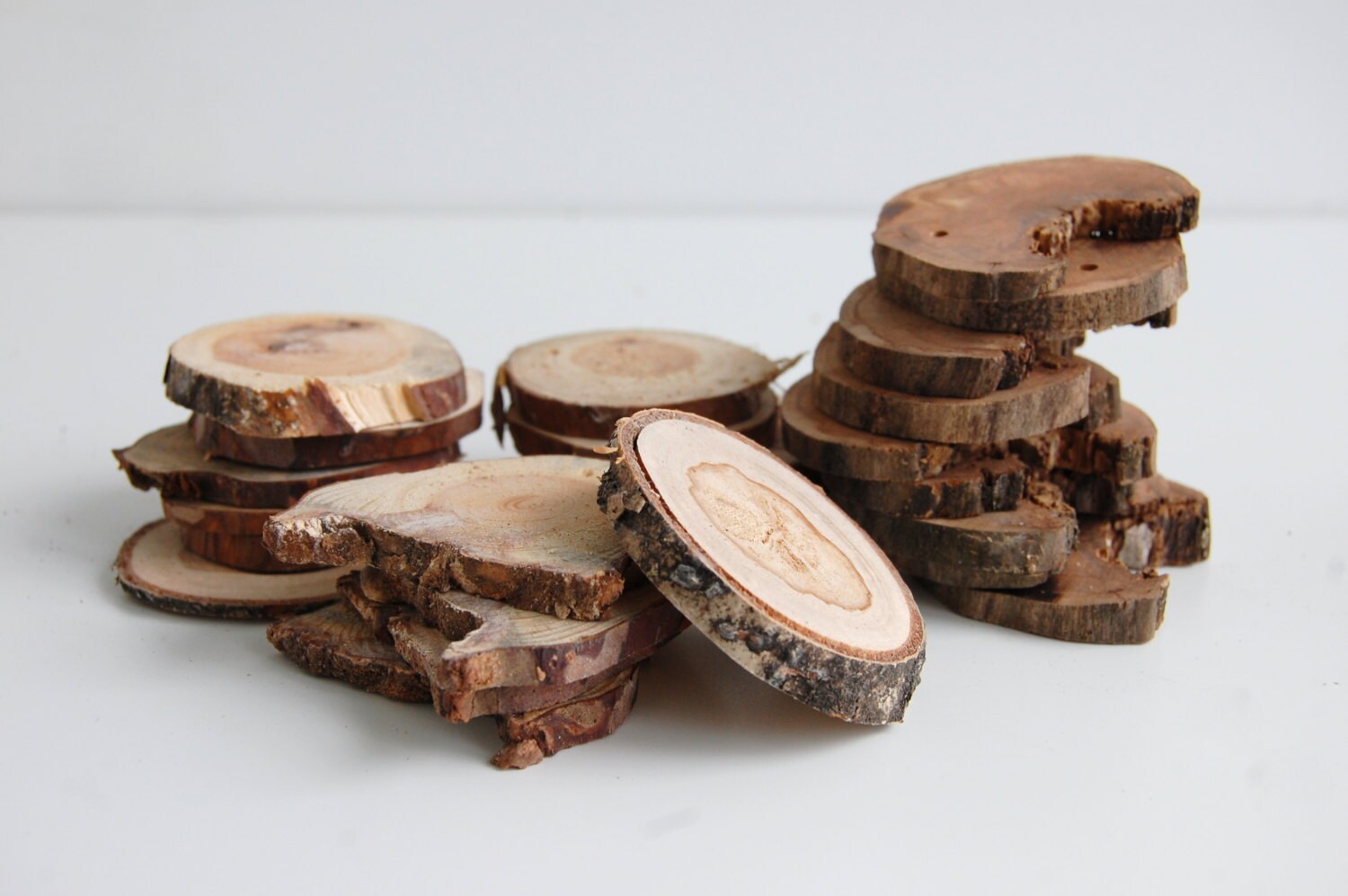 Different Tree Branch Slices Easter Tree Decorations Wood | Etsy