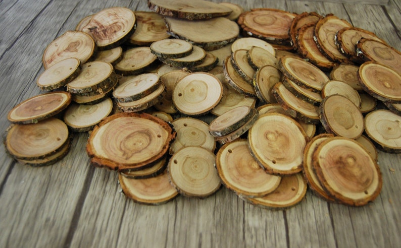 Tree Branch Slices 100 Pcs Different Wood Slices DIY - Etsy