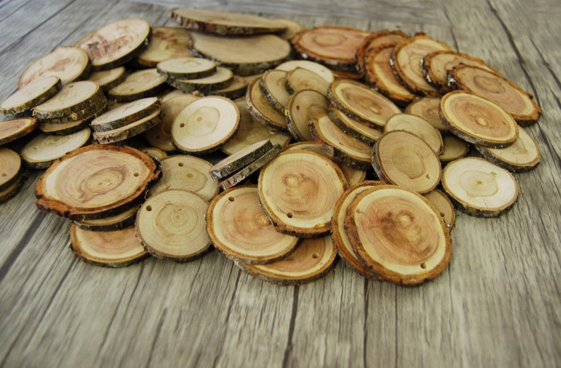 Tree Branch Slices 100 Pcs Different Wood Slices DIY - Etsy