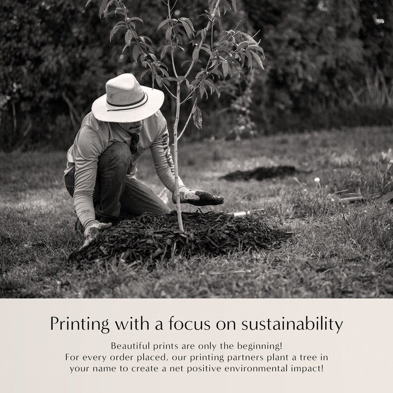 MODERN LUXE | Printed Tri-fold Wedding Program, Minimalist Folded ...