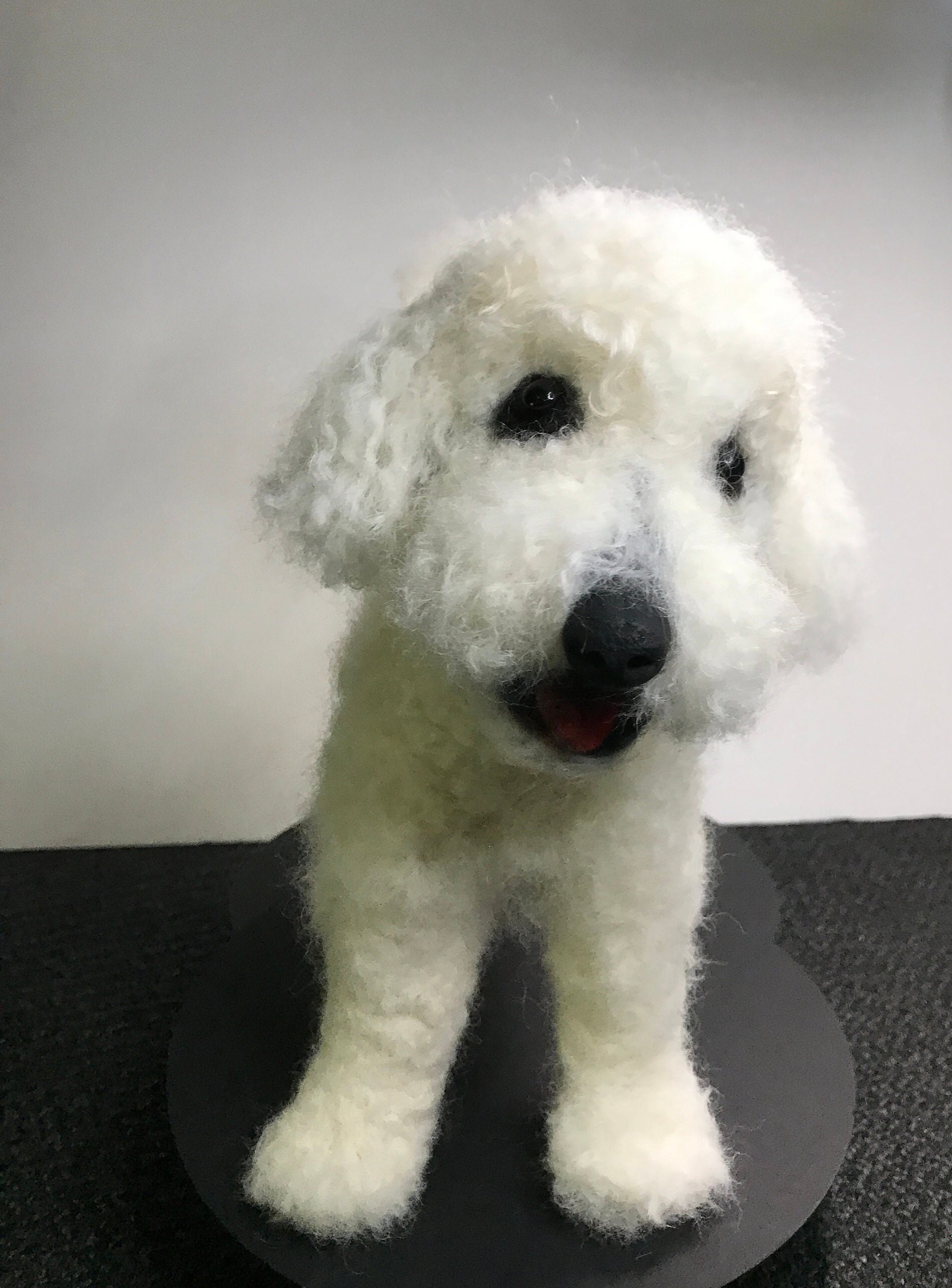 Custom Ordered Needle Felt Standard Poodles...grady and Ava. Made With ...
