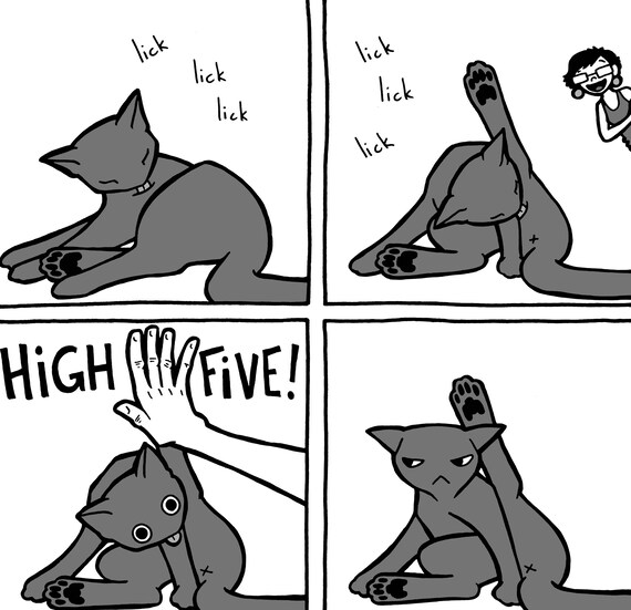 Cat High Five