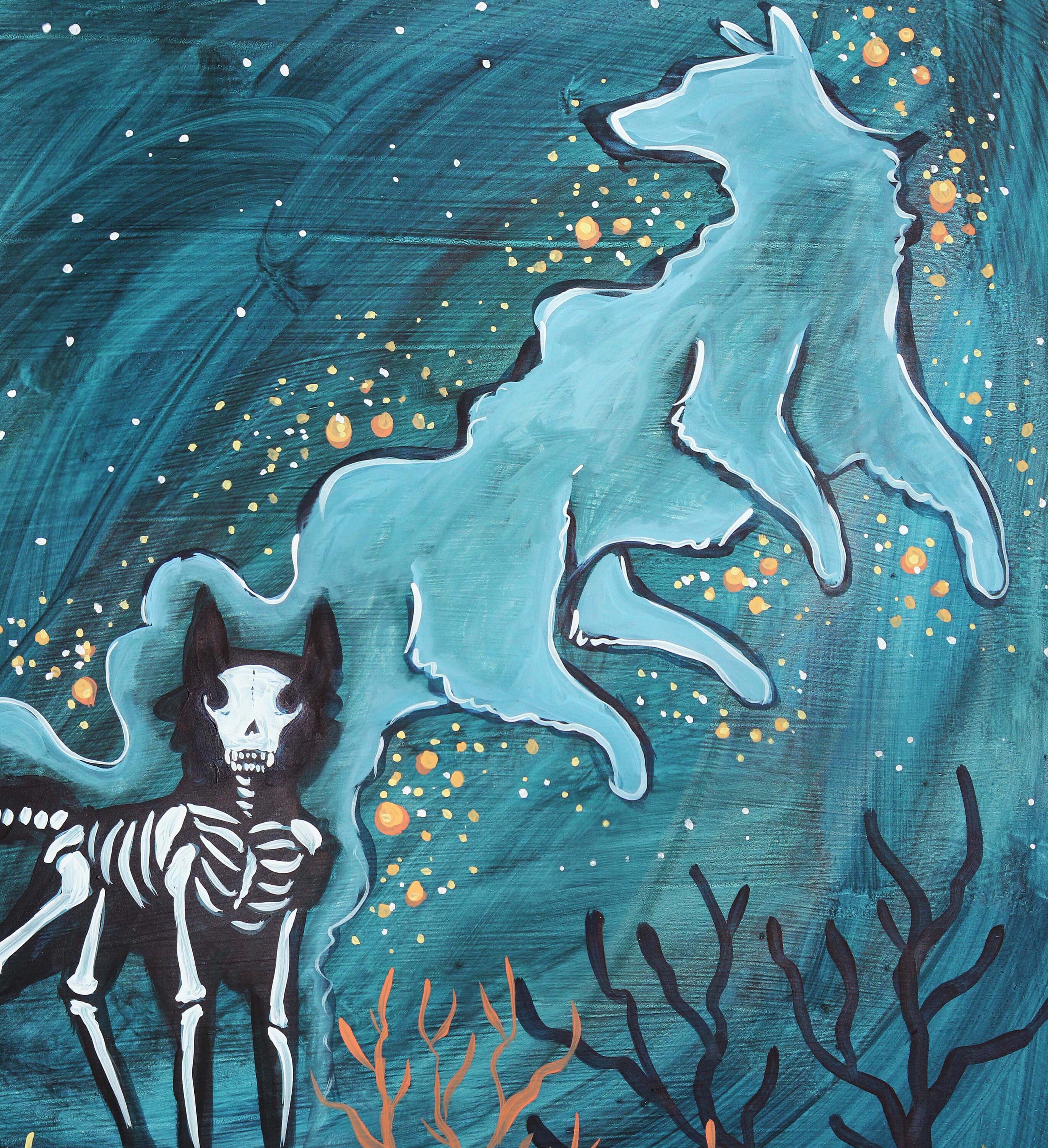 Wolf Skeleton; Fine Art Print - Etsy