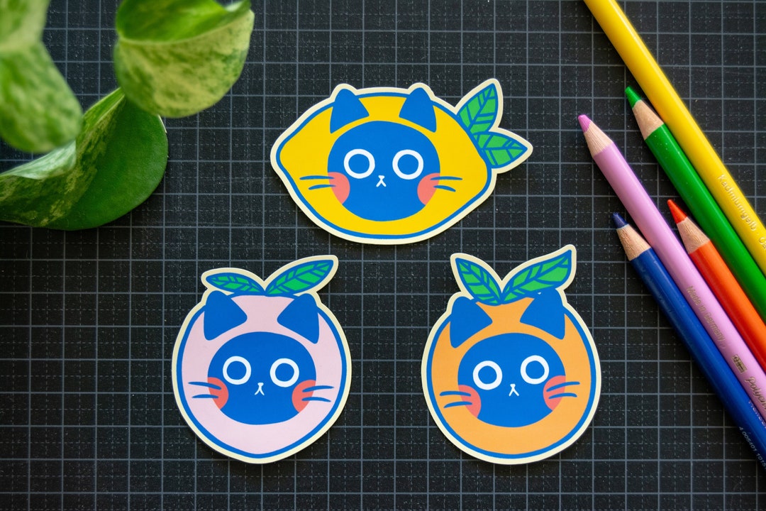 Fruit Cat Sticker | Matte Vinyl Sticker - Etsy