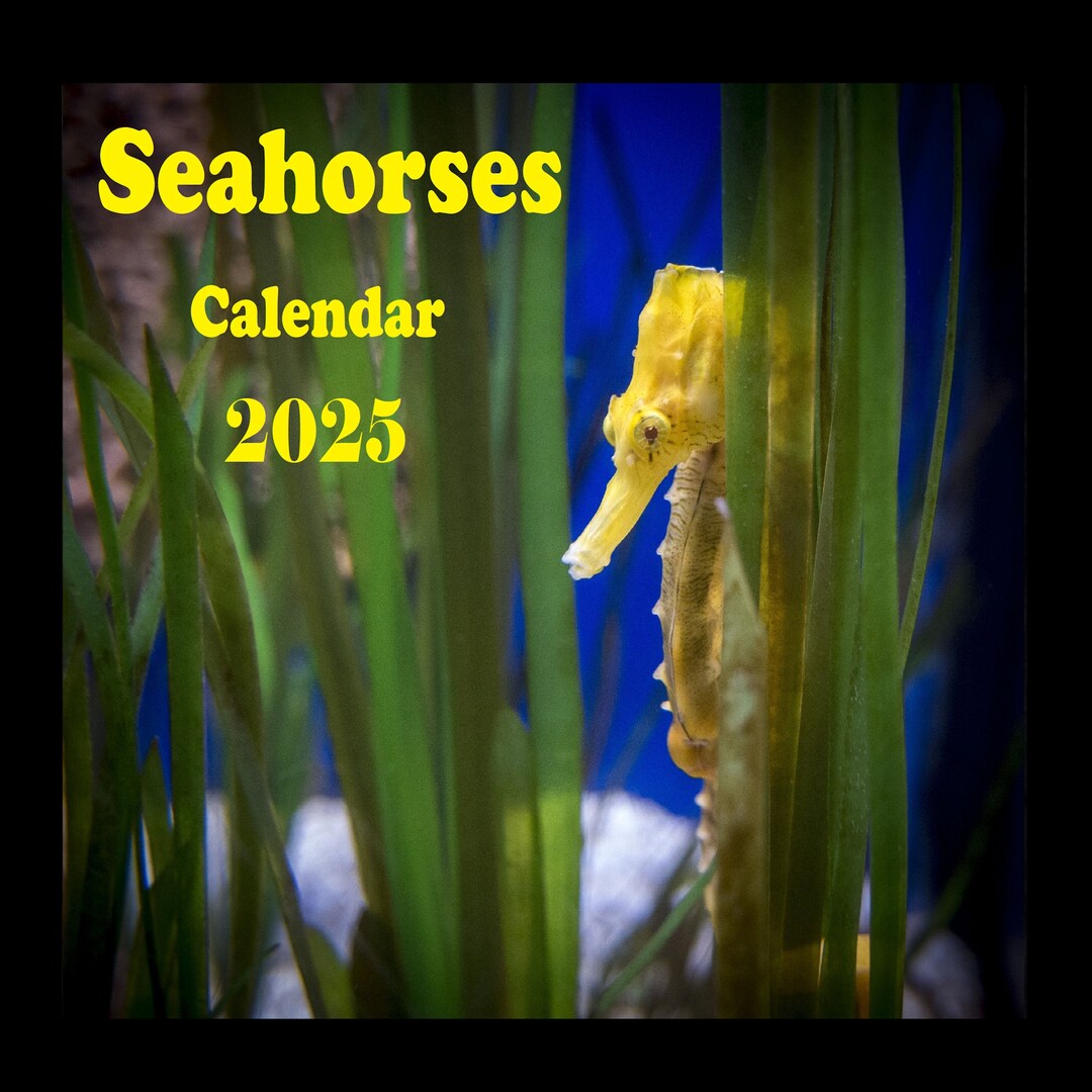 Seahorse Calendar 2025 Sea Horses Planner Sea Life Calendar Coral Reef ...